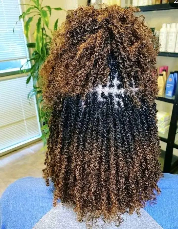 Top 10 Luxury Afro Kinky Hairstyles for Corporate Women – Best Ideas